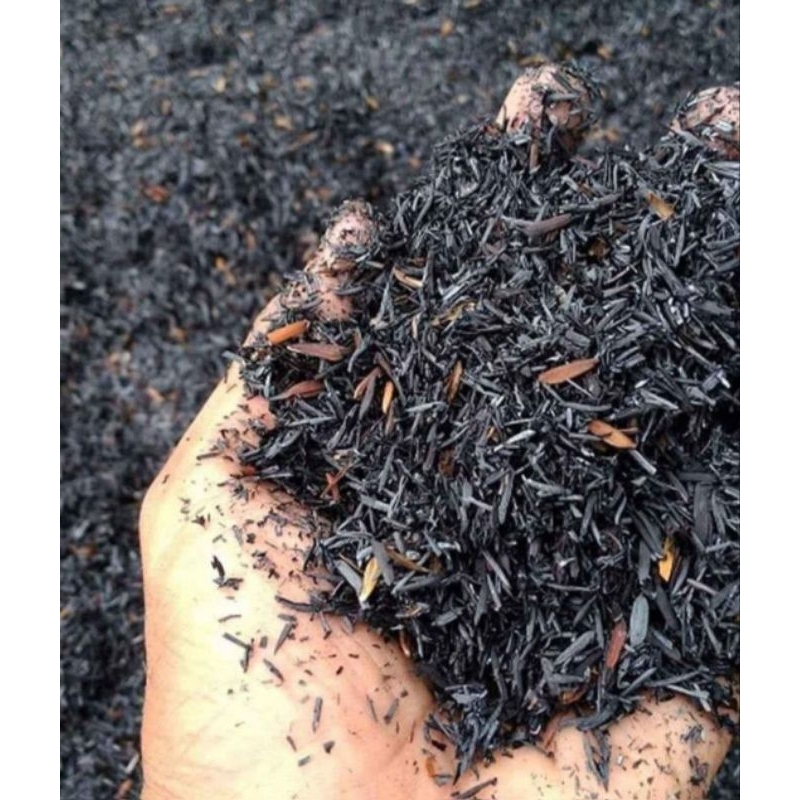 Jual Sekam bakar arang sekam 1kg media tanam arang padi | Shopee Indonesia