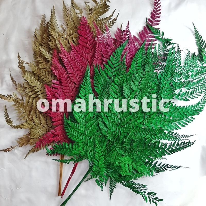 Jual Daun Pakis / Daun Pakis Kering / Daun Hiasan Mahar / Daun Hiasan ...