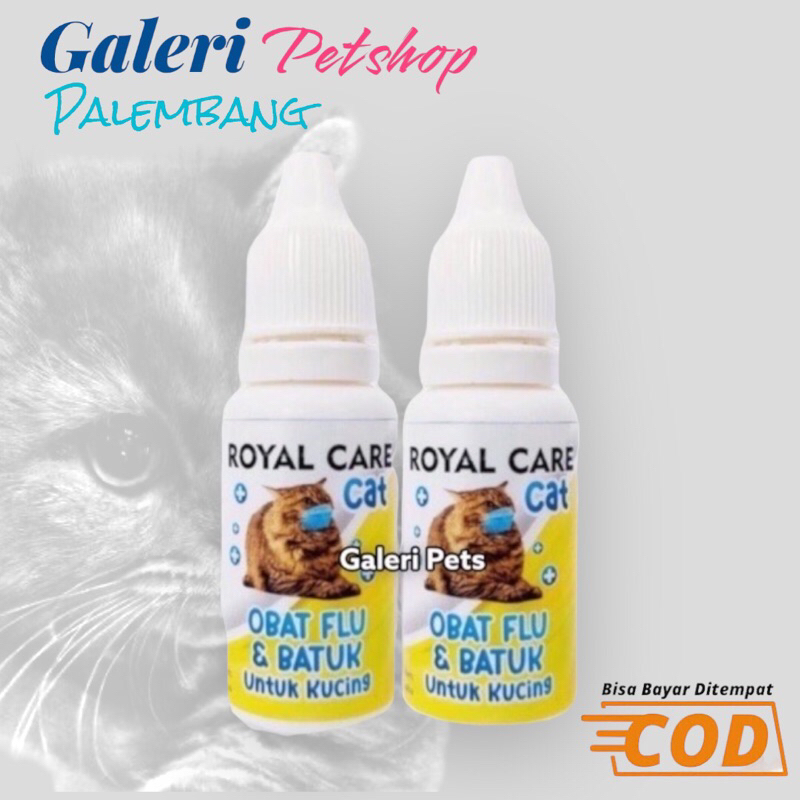 Jual Obat Flu dan Batuk kucing Royal Care 10ml | Shopee Indonesia