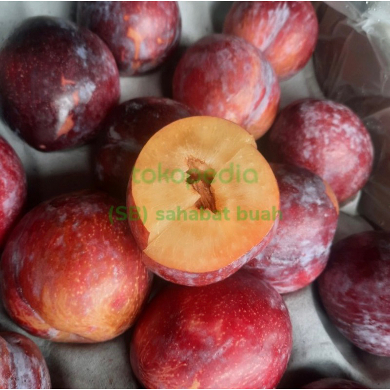 Jual BUAH PLUM USA / RUBY PLUM MANIS | Shopee Indonesia