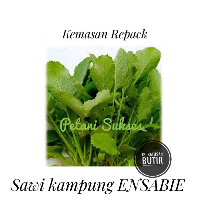Jual (REPACK 100++ butir) Bibit sayuran sawi kampung sawi Dayak ENSABI ...
