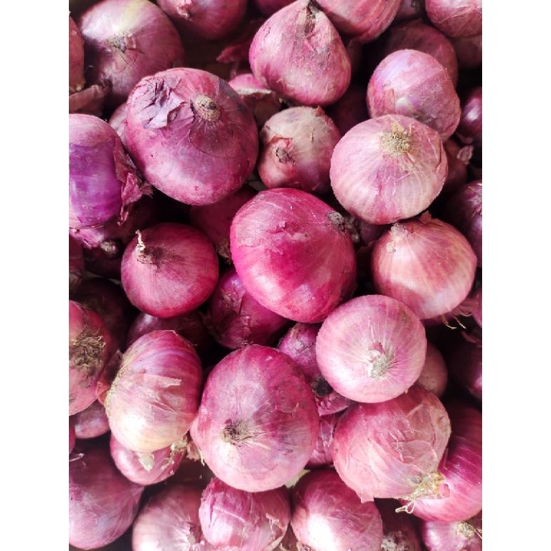 Jual BRAMBANG INDIA / BAWANG MERAH INDIA 1 KG | Shopee Indonesia