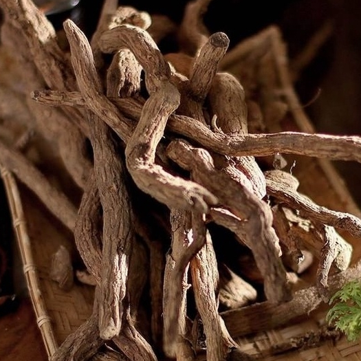 Jual TERBAIK AKAR PULE PANDAK KERING MURNI [ORIGINAL]-1KG | Shopee ...