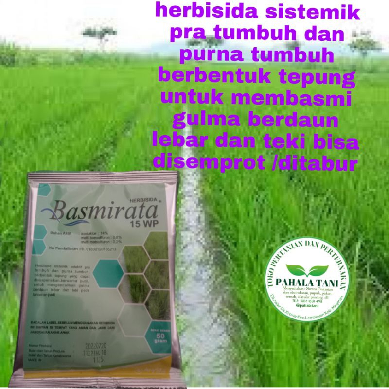 Jual Basmirata/obat rumput /racun rumput padi/rumput teki | Shopee ...