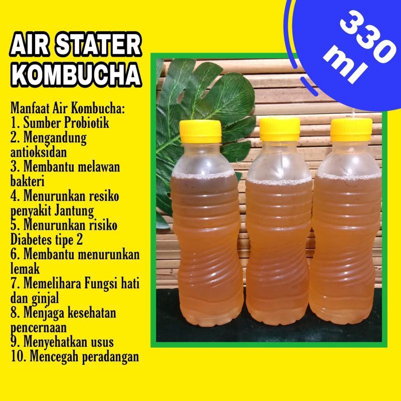 Jual AIR STATER KOMBUCHA | Shopee Indonesia