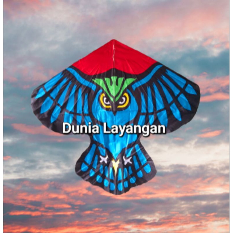 Jual LAYANGAN KAIN PARASUT CELEPUK SAYAP BESAR | Shopee Indonesia