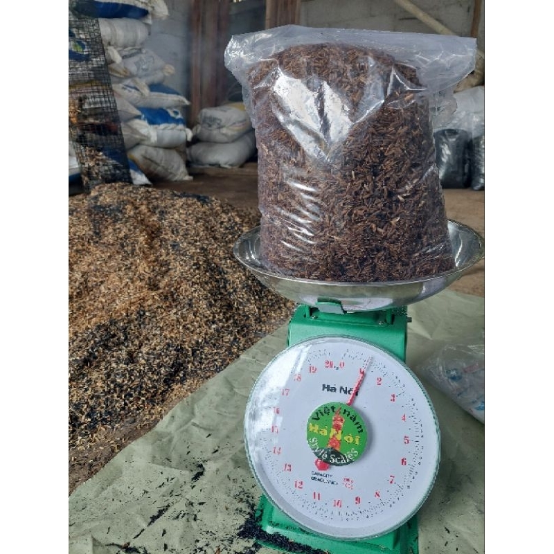 Jual Media tanam sekam permentasi alami 1kg sekam padi kulit padi gabah ...