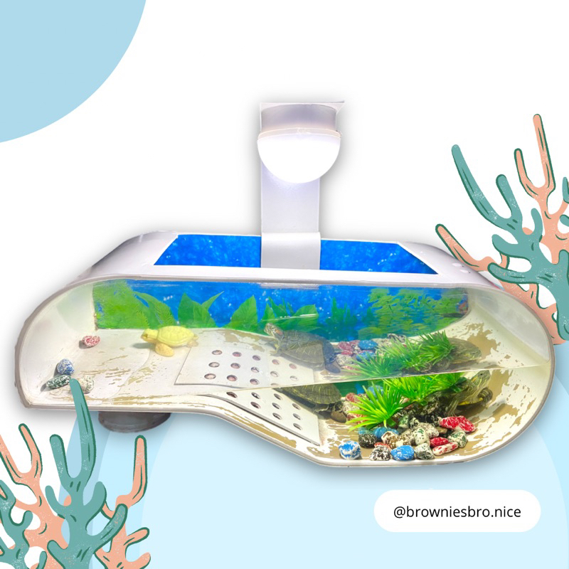Jual Kura-kura brazil, aquarium pvc, hiasan dan lampu LED (free pakan ...