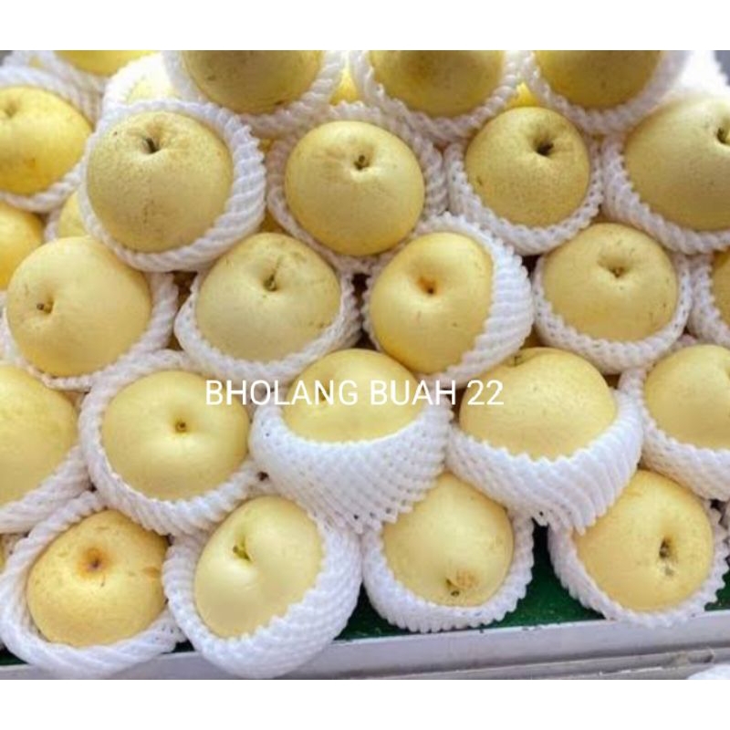Jual PIR CENTURY SEGAR DAN FRESH ISI 1KG | Shopee Indonesia