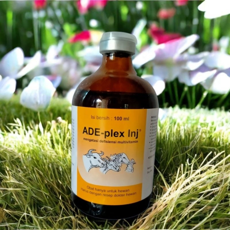 Jual ADE - plex Inj injeksi vitamin ADE konsentrasi Tinggi vit Ade ...