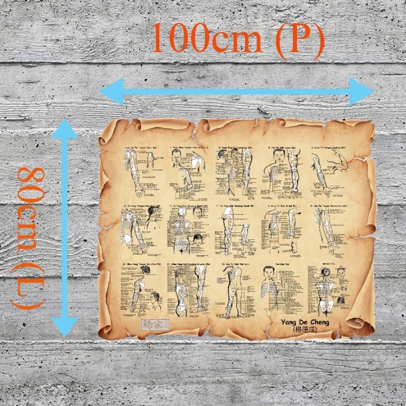 Jual Poster titik dan meridian akupunktur/acupuncture point (poster ...