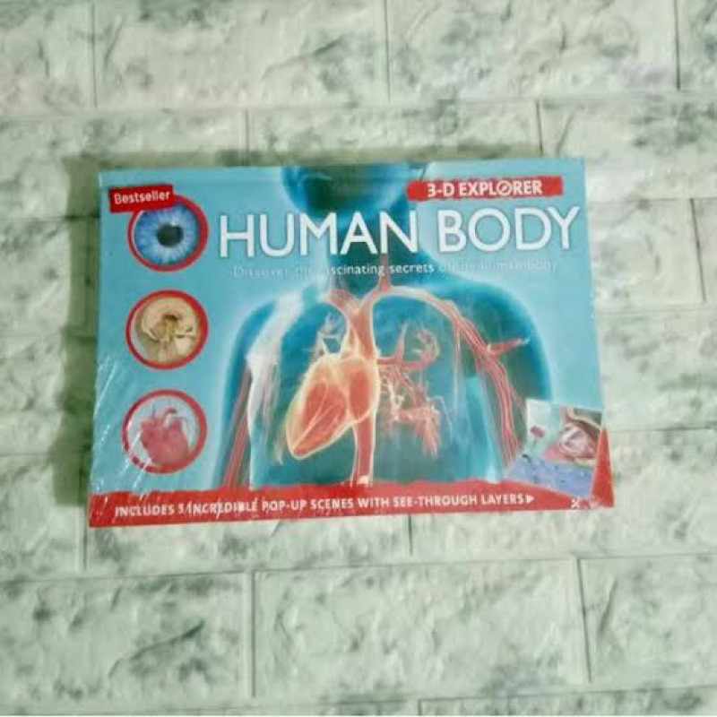 Jual 3D explorer human body, pop up book tubuh manusia | Shopee Indonesia