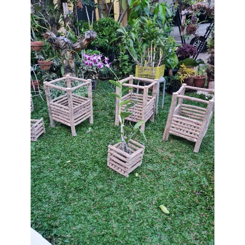 Jual Pot anggrek kayu kopi model berdiri | Shopee Indonesia