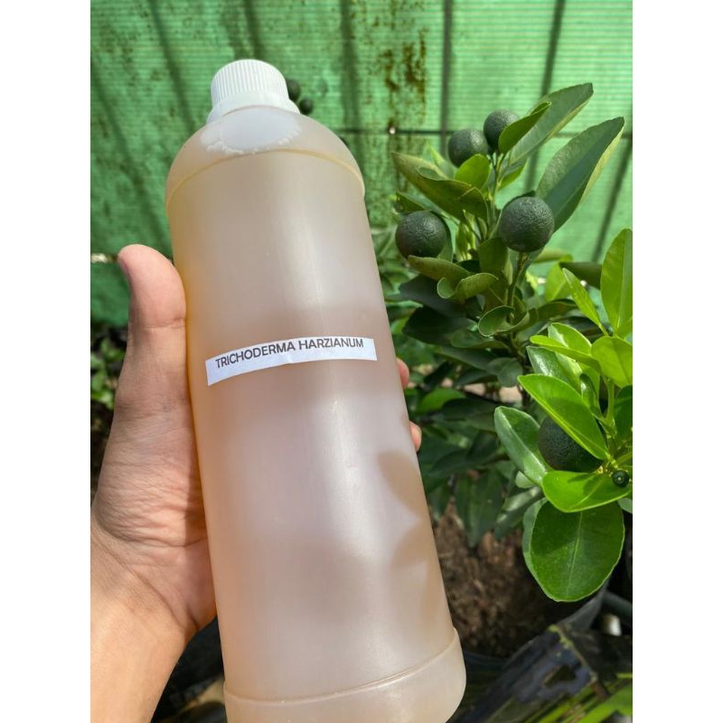 Jual Trichoderma Harzianum Cair 1 Liter | Shopee Indonesia