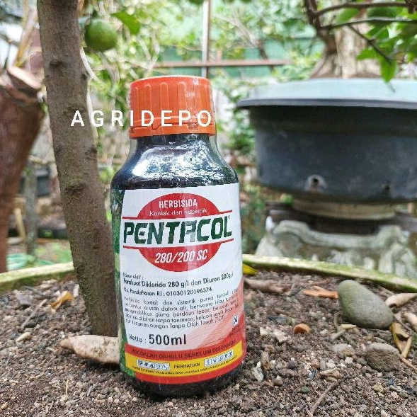 Jual PENTACOL 500 ML Herbisida Kontak Sistemik Basmi Rumput Cepat ...
