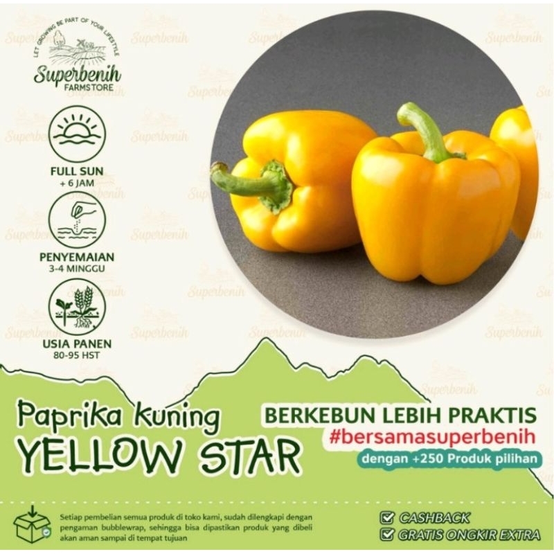 Jual 5 biji bibit benih Sayur Paprika kuning YELLOW STAR F1 cocok ...