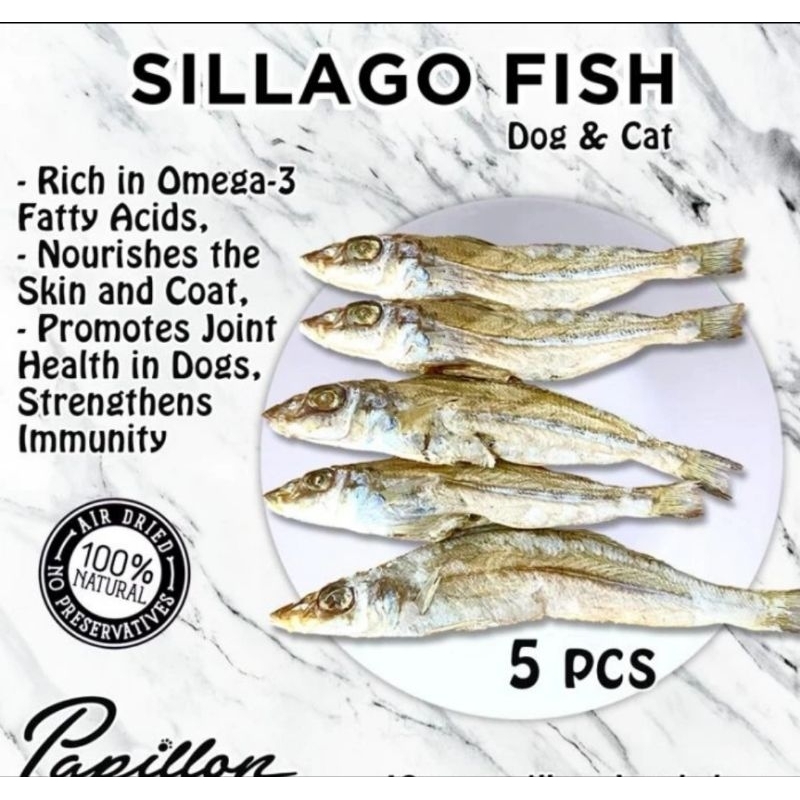 Jual Sillago Fish 5 pcs | Shopee Indonesia
