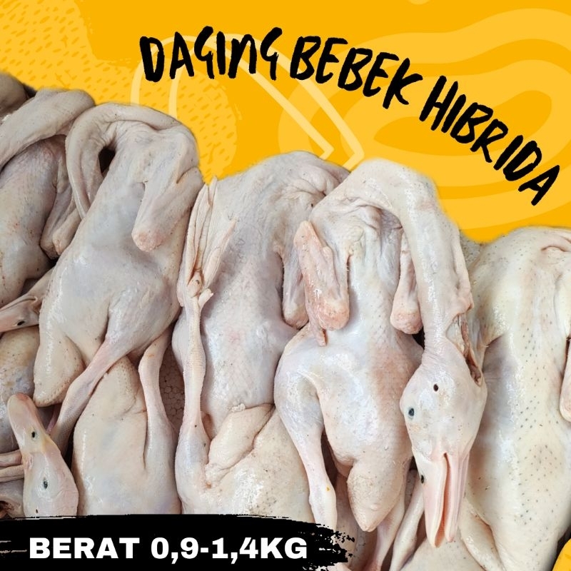 Jual Daging Bebek Peking 0,7kg - 2,0kg Lengkap Dengan Kepala Dan Ceker | Shopee Indonesia