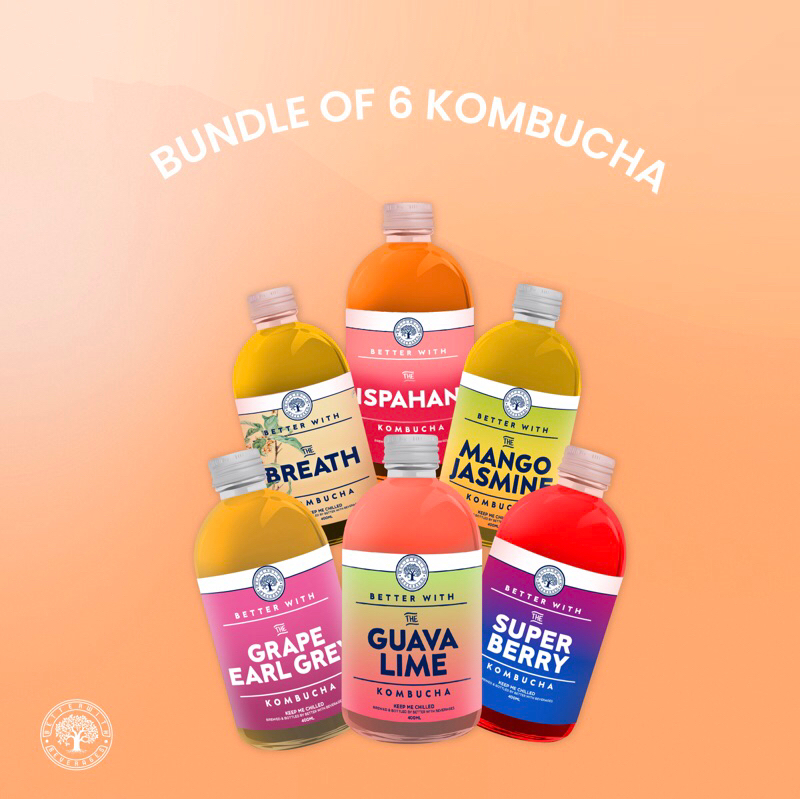 Jual Kombucha bundle ( 6 Botol Kombucha ) | Shopee Indonesia