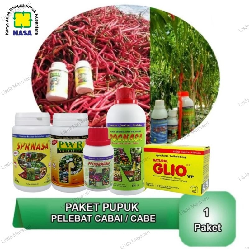 Jual PUPUK CABAI / CABE - Paket Pupuk Cabe Cabai Pelebat Buah Cabe ...