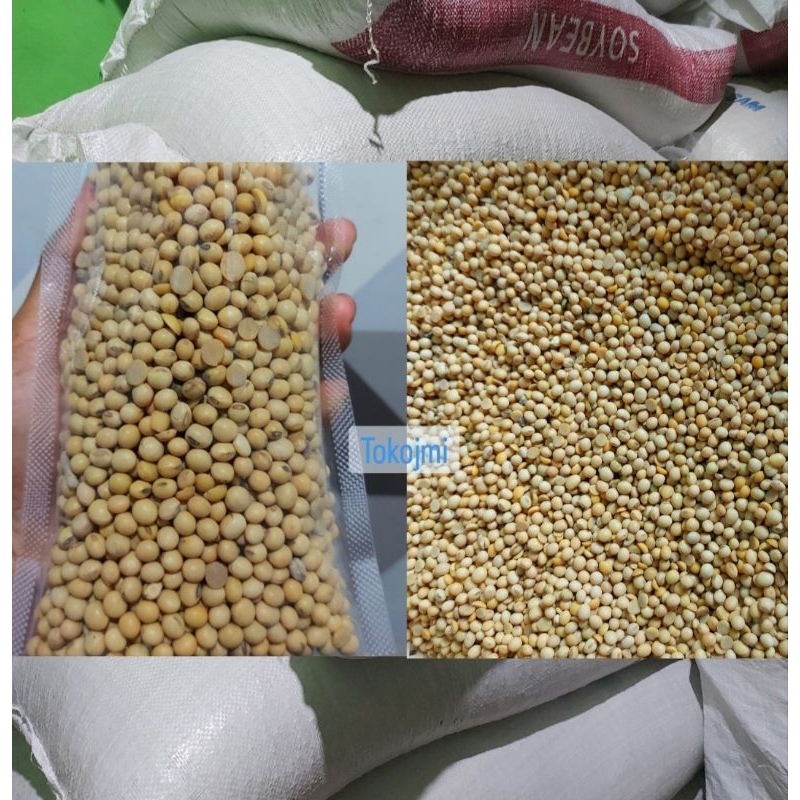 Jual KACANG KEDELAI SUPER IMPORT 1KG | Shopee Indonesia