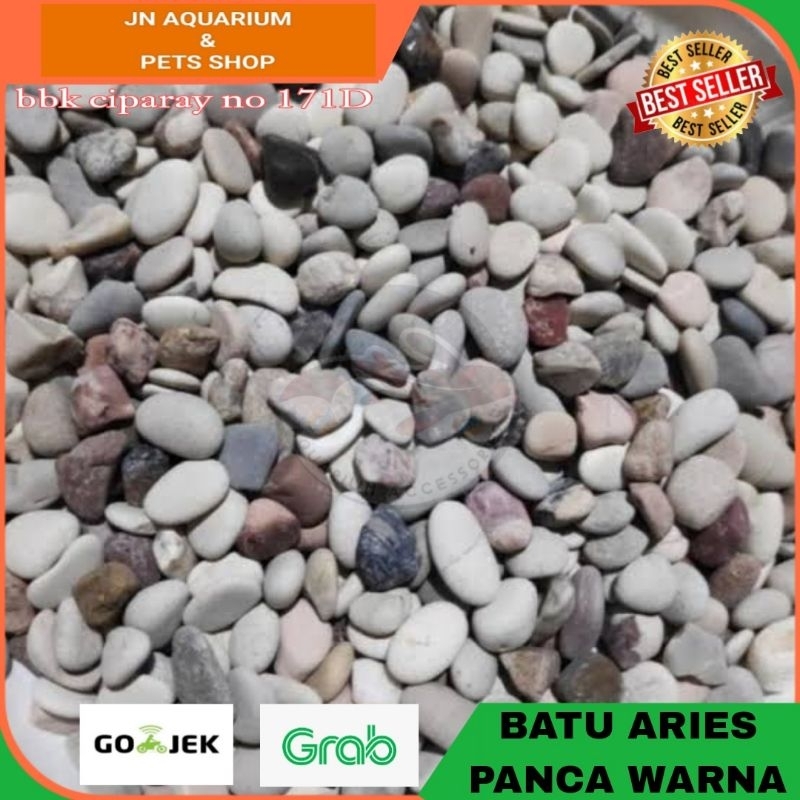 Jual BATU PANCA WARNA / BATU ARES / 1 KARUNG / BATU SUNGAI HIASAN AQUARIUM AQUASCAPE | Shopee ...
