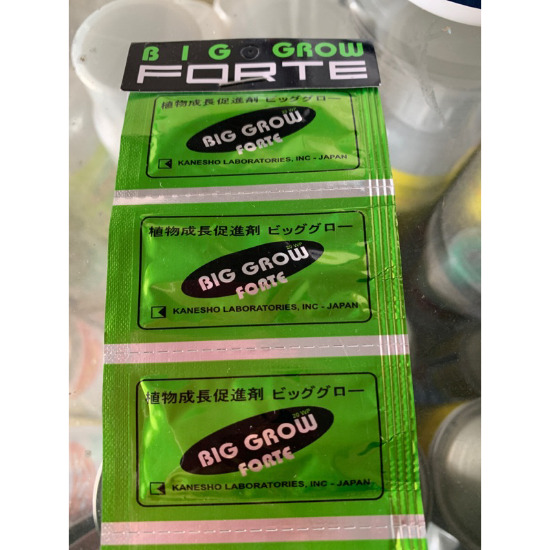 Jual ZPT BIG GROW FORTE 1 GRAM Kecil - 1 Sachet EXP 2029 | Shopee Indonesia