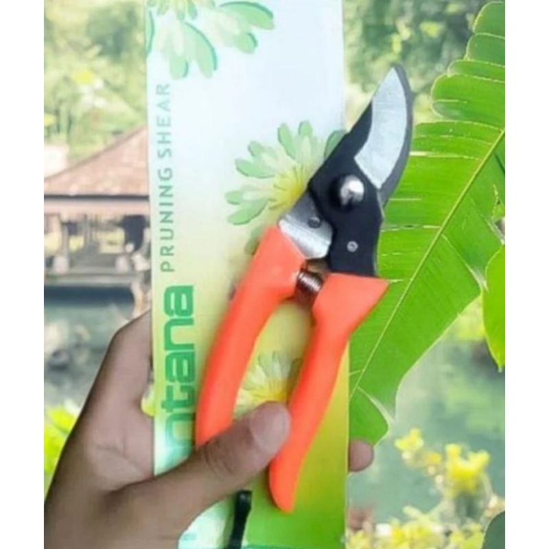 Jual Gunting Dahan / Ranting / Stek Tanaman - MONTANA ORIGINAL | Shopee ...