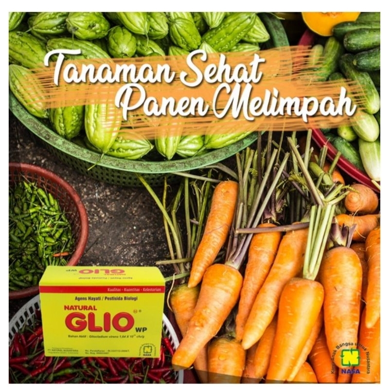 Jual Natural GLIO (Gliocladium)/pestisida pengendalian hama | Shopee ...