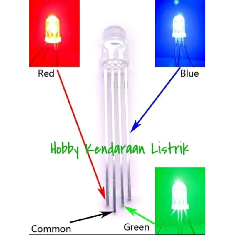 Jual Led RGB 5 mm Common Anode Catode Diffused | Shopee Indonesia