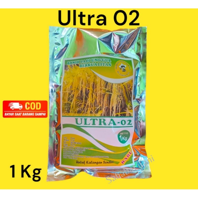 Jual Benih Padi ULTRA 02 Original 1kg | Shopee Indonesia