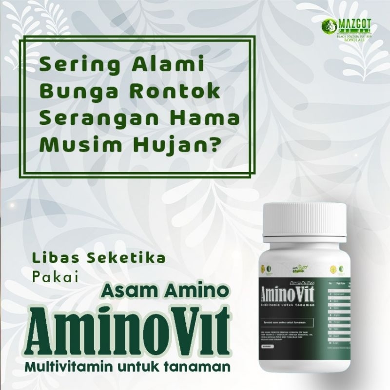 Jual AMINOVIT 3 GRATIS 1 | Shopee Indonesia