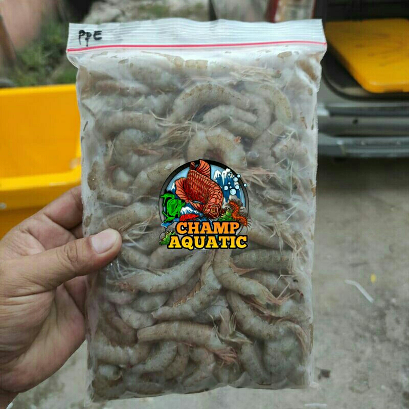 Jual UDANG API TANPA KEPALA DAN EKOR / UDANG API BEKU 500GR / UDANG API ...