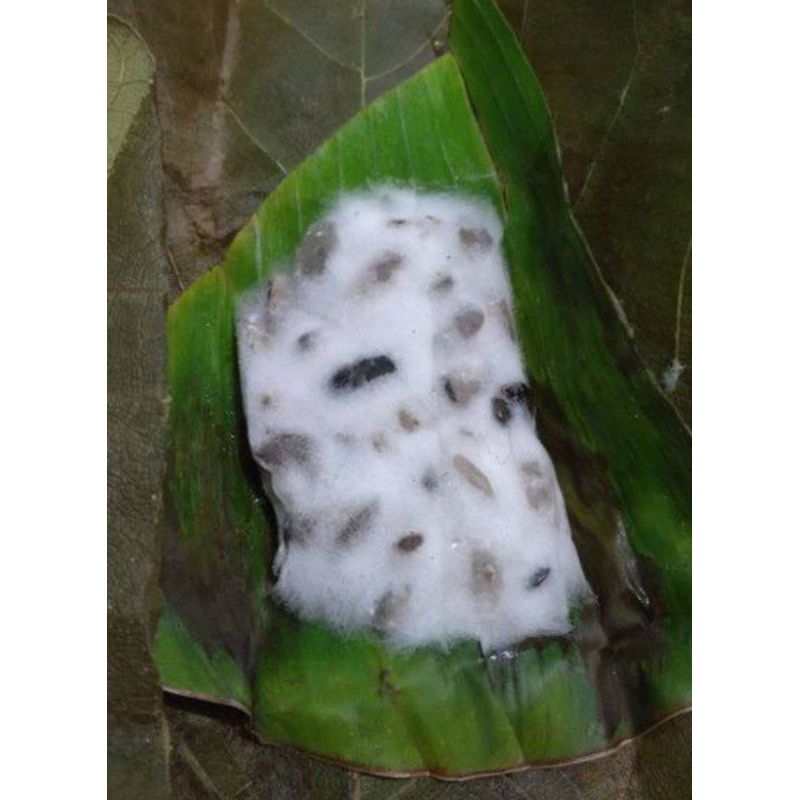 Jual Tempe Benguk Khas Wonogiri isi 30,di goreng atau bacem , di masak ...