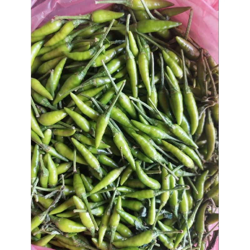 Jual Lombok Hijau Rawit / Lombok Hijau botol 1 KG | Shopee Indonesia