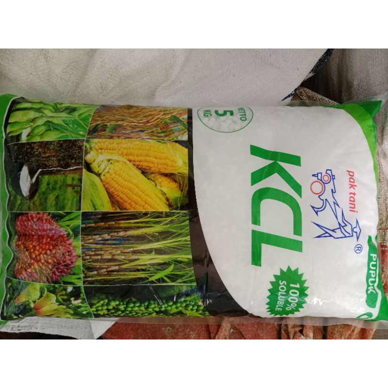 Jual KCL WHITE GRANUL PAK TANI 5KG | Shopee Indonesia