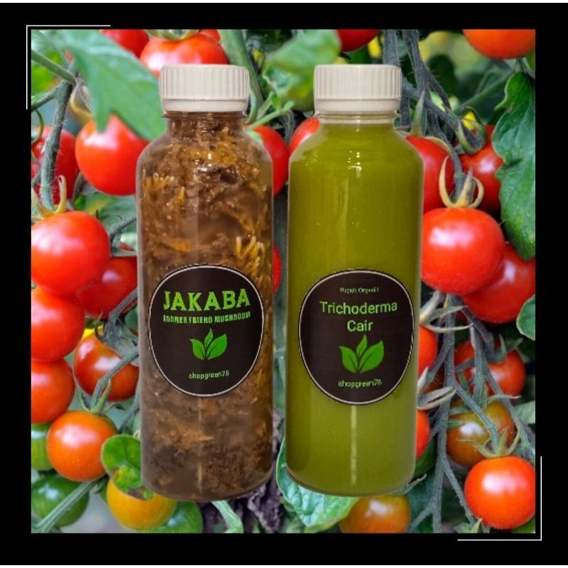 Jual Trichoderma+jakaba paket hemat sapujagat/pupuk hayati Trichoderma dan jakaba | Shopee Indonesia