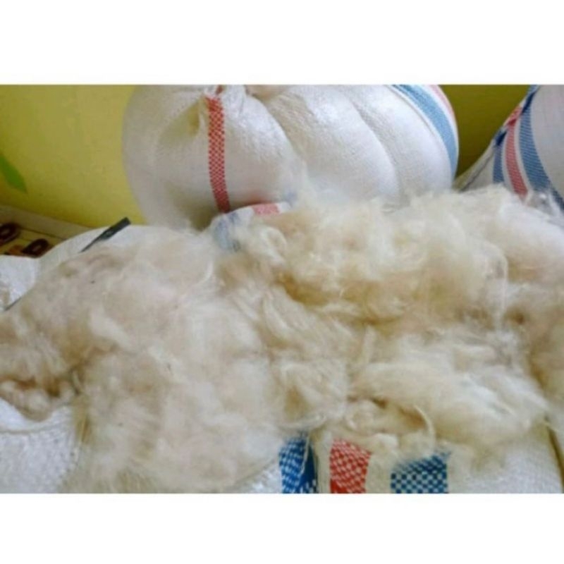 Jual Isian kapuk / isi kapuk / kapuk | Shopee Indonesia
