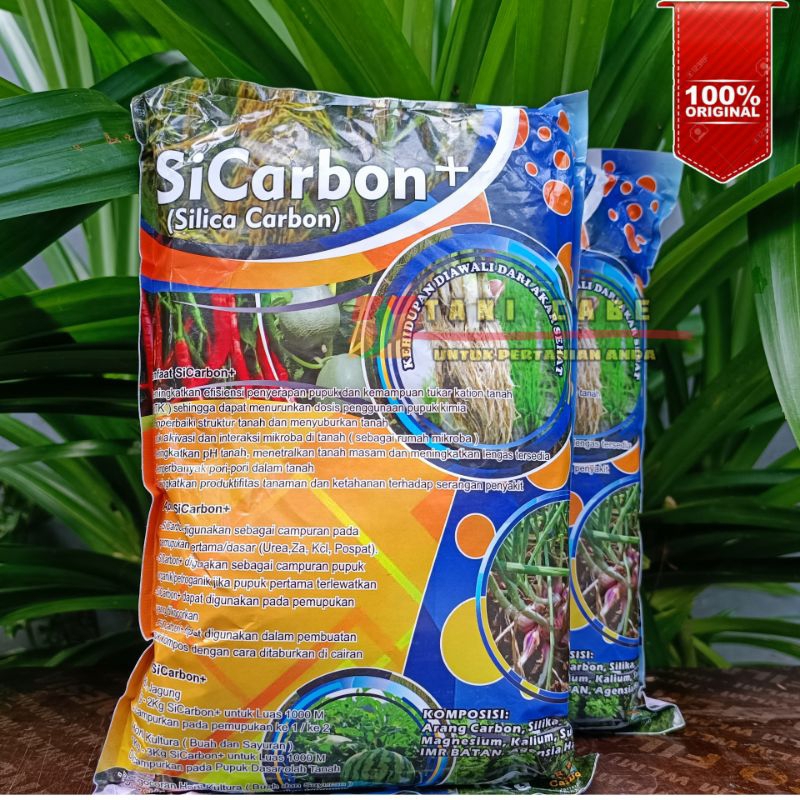 Jual SICARBON + SILICA CARBON ORIGINAL 1 KG | Shopee Indonesia