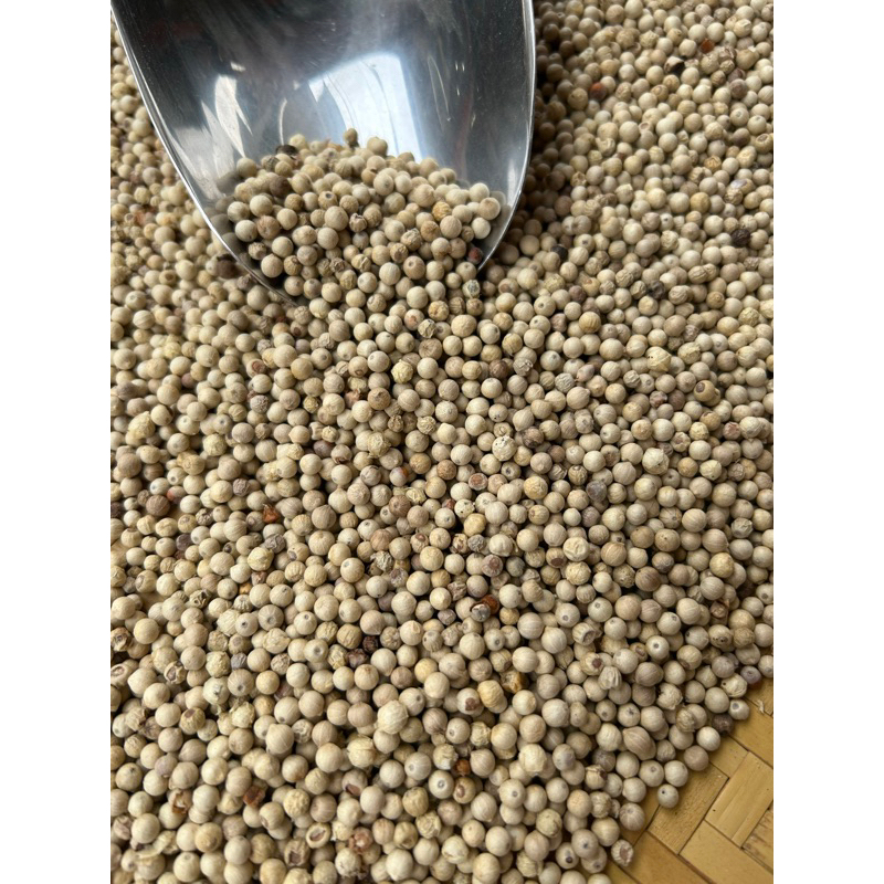 Jual Lada Biji / Merica Utuh Kalimantan 100gr / Lada Bulat | Shopee ...