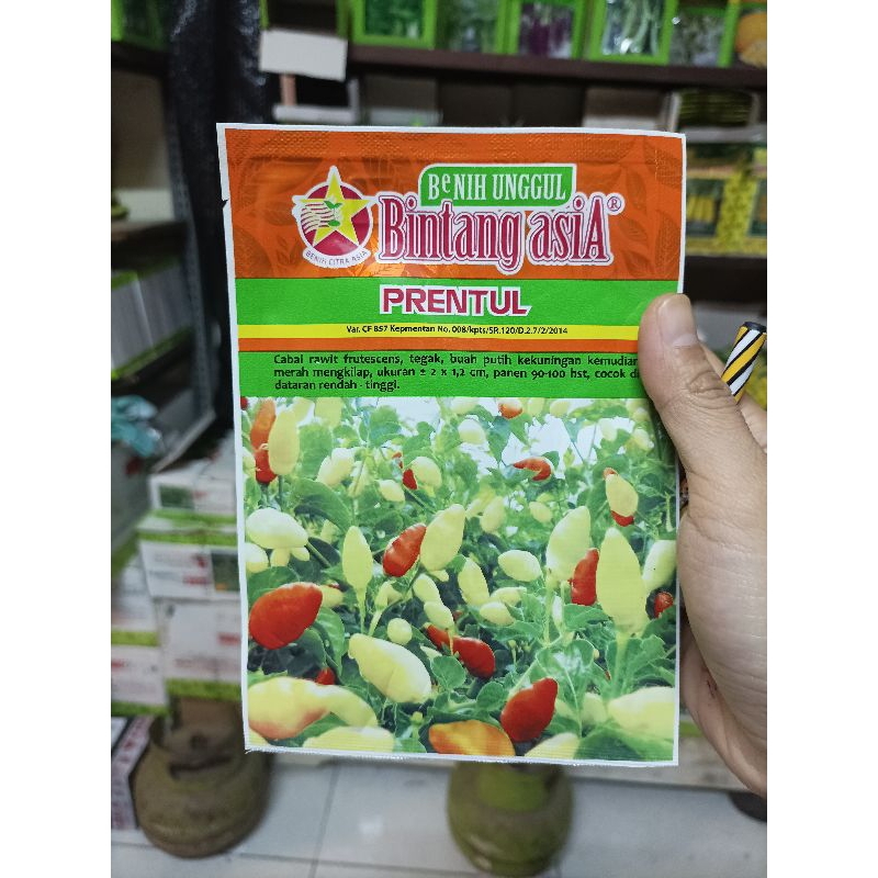 Jual cabe prentul 10gram bintang asia | Shopee Indonesia