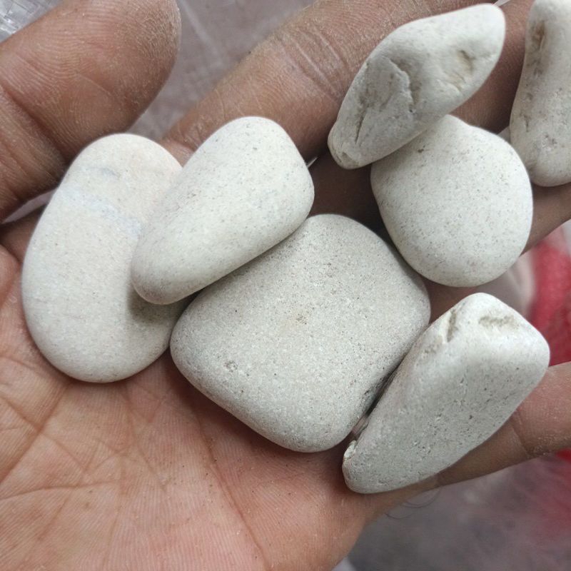 Jual BATU CORAL PUTIH AQUASCAPE 1KG | Shopee Indonesia