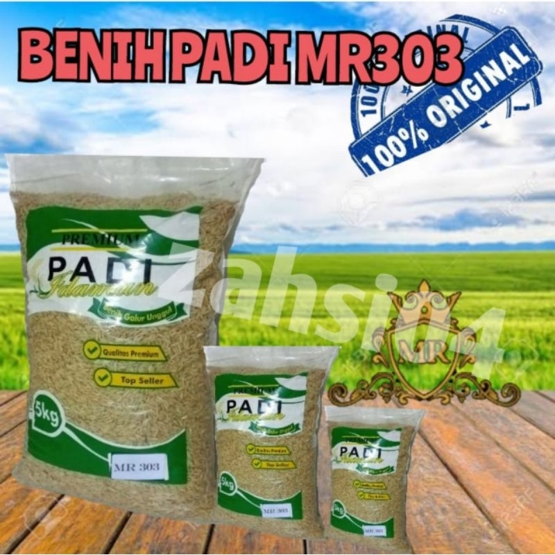 Jual BENIH PADI MR 303 5KG NEW | Shopee Indonesia