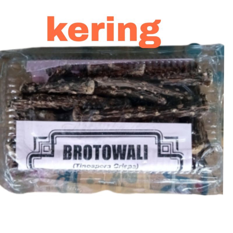 Jual Brotowali Patrawali Kering Perawatan Tulang | Shopee Indonesia