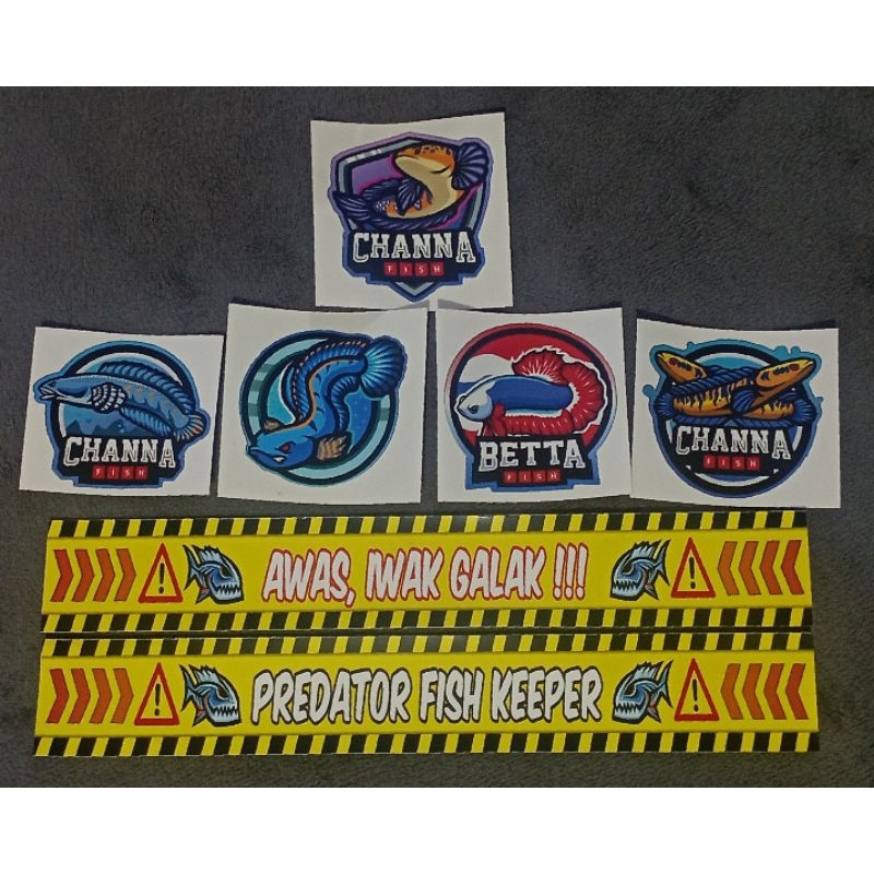 Jual stiker sticker ikan channa maru ys pulchra asiatica andrao limbata ...