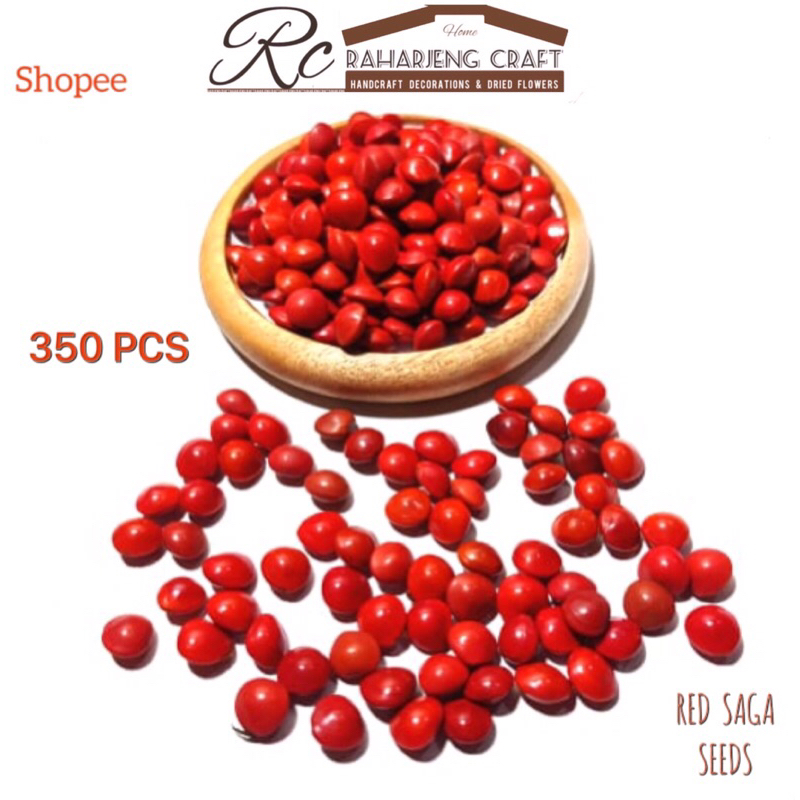 Jual 140// 350 pcs Biji bijian saga merah bahan craft kerajinan ...