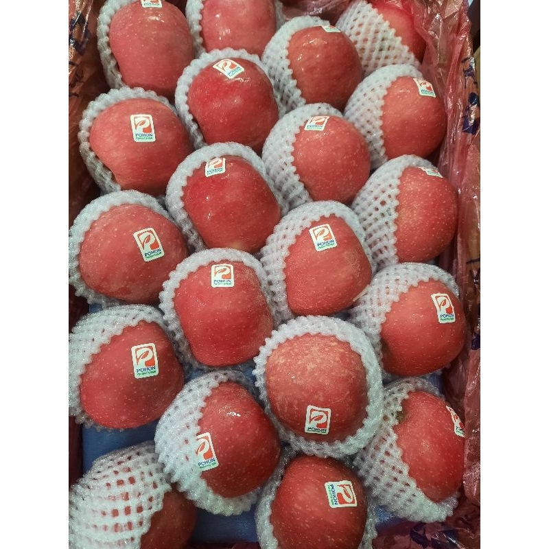 Jual Apel Fuji Premium 1kg | Shopee Indonesia