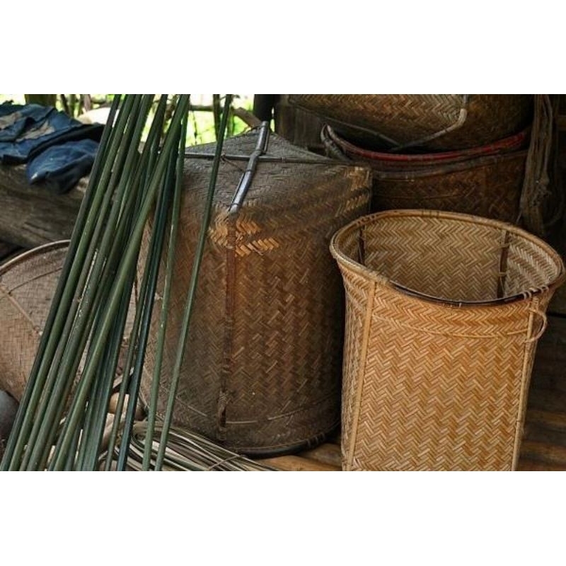 Jual 10 BATANG MEDIA ANYAMAN POHON BAMBAN/BANGBAN/BEMBAN/BILI 100CM ...