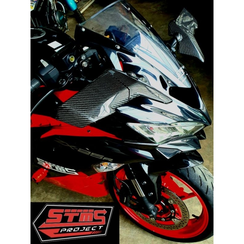 Jual SPION WINGLET H2R .MERK : STMS PROJECT F22 RAPTOR.CARBON KEVLAR ...