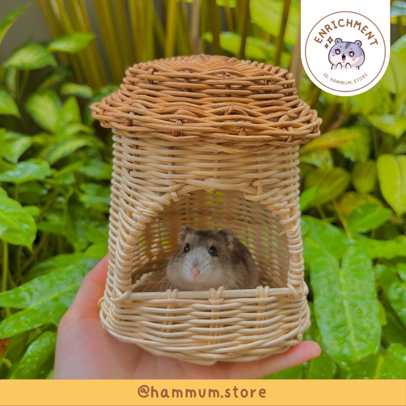 Jual Rumah Hamster Jamur | Hamster Rattan House | Rumah Sugar Glider ...